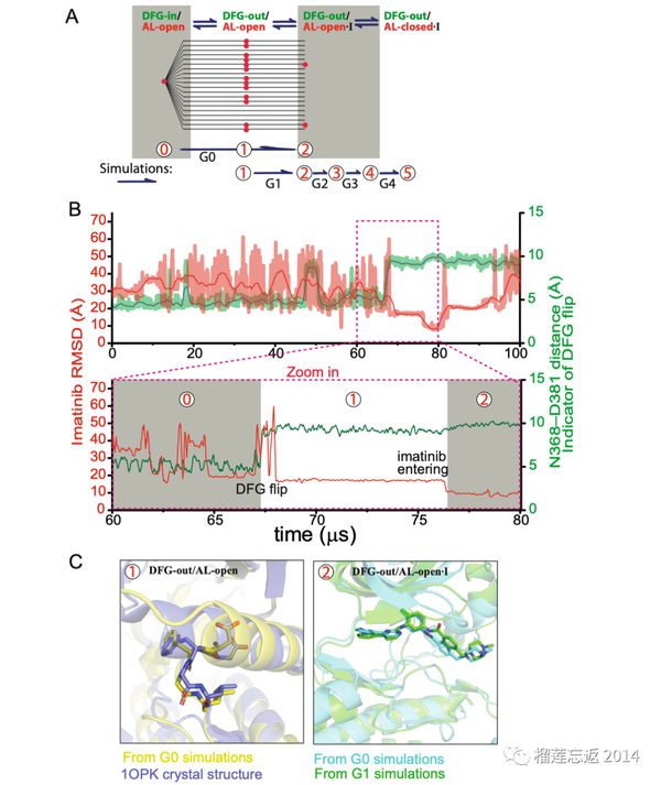 分子动力学模拟 揭示伊马替尼诱导的 Abl 激酶构象变化及结合机制 - 知乎