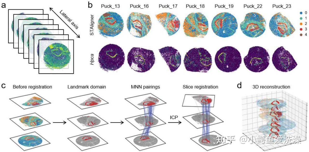 STAligner论文阅读整理 - 知乎
