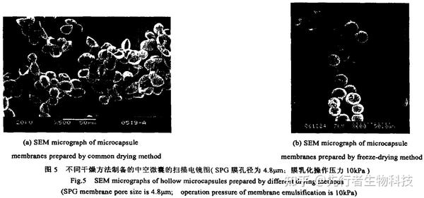 SPG膜乳化与界面聚合法制备单分散多孔微囊膜 - 知乎