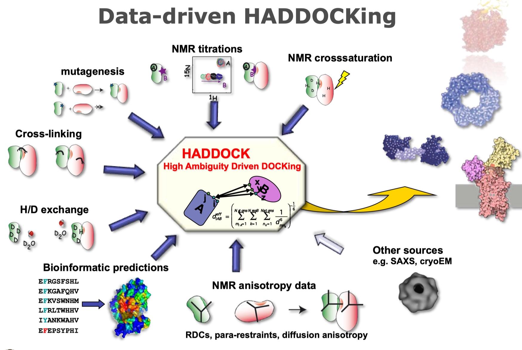 RosettaDock: 蛋白-蛋白复合物对接预测 - 知乎