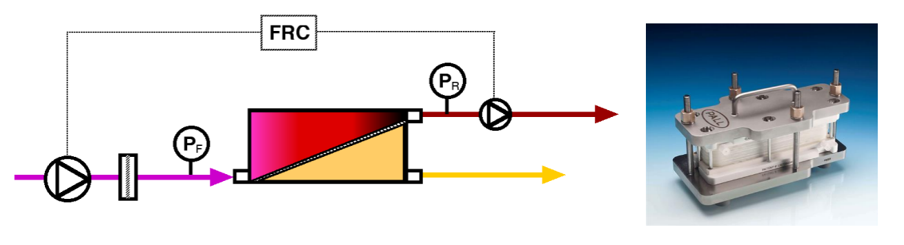浅析mRNA疫苗的工艺流程 - 知乎