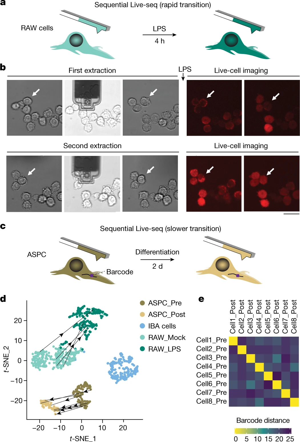 Nature | Live-seq实现单细胞时间转录组记录 - 知乎