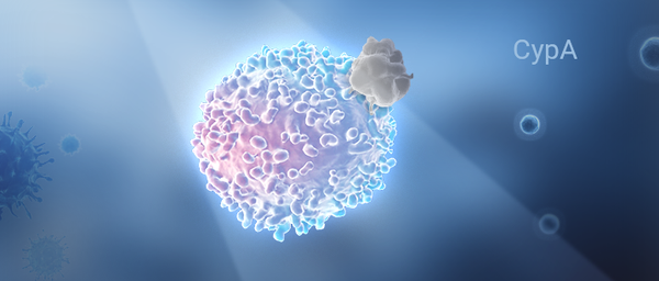 【文献解读】促炎因子CypA在炎症研究中用到的典型材料及方法 - 知乎