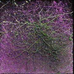 跟图灵奖学AI系列（二）跟Marvin Minsky 学习（亦或是“辩论”）Perceptron - 知乎