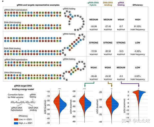 Nature 子刊：CRISPR Cas9/gRNA复合物的活性主要取决于特定的自由结合能范围和目标 PAM 环境 - 知乎