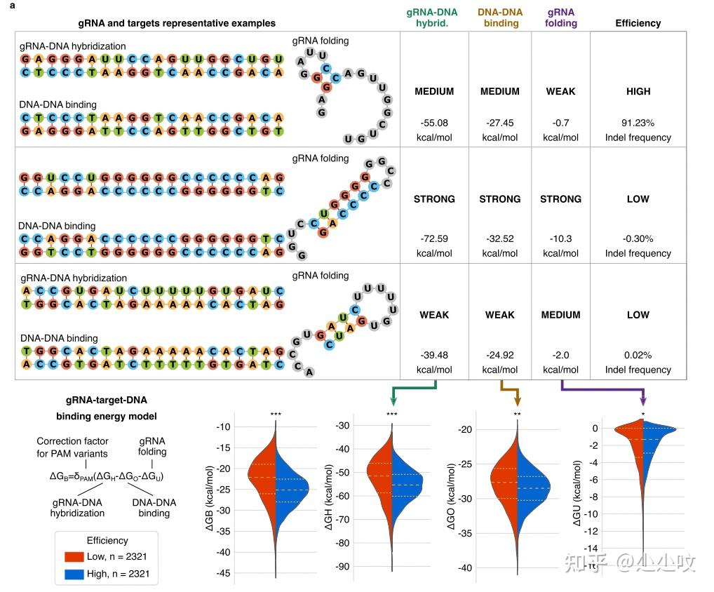 Nature 子刊：CRISPR Cas9/gRNA复合物的活性主要取决于特定的自由结合能范围和目标 PAM 环境 - 知乎
