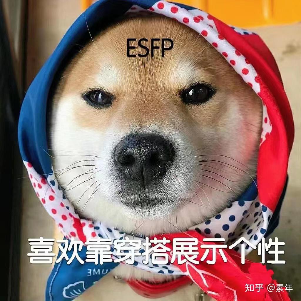 想知道ESFP，适合什么样的人？ - 知乎
