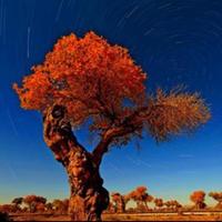 超级感受态 Super Competent Cells 基本原理及制备实操 - 知乎