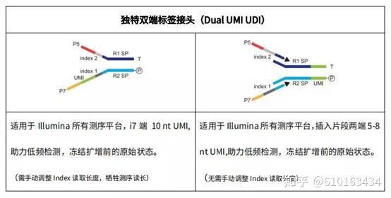 illumina测序接头类型 - 知乎
