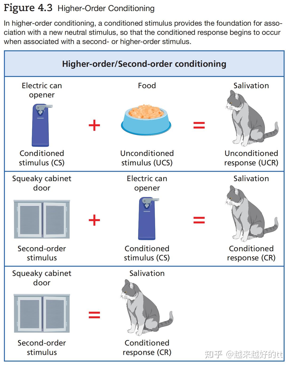 普通心理学04 学习与人的后天教养 - 知乎