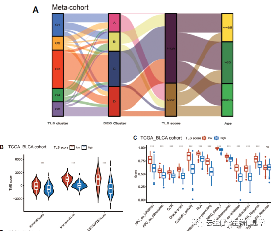 三级淋巴结构TLS生信又出新番——肿瘤二次聚类分型+预后模型构建思路直取 8分+，送上TLS基因集，换个癌种反手又是一篇！ - 知乎