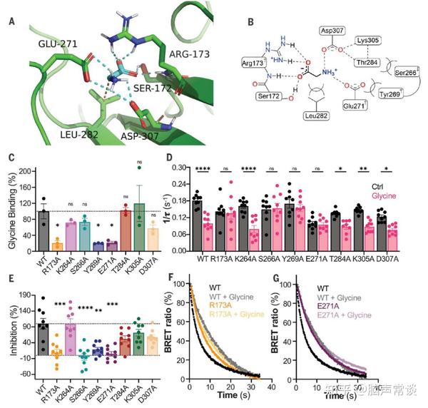 情绪相关受体-GPR158的发现可能成为抗抑郁新靶点 - 知乎