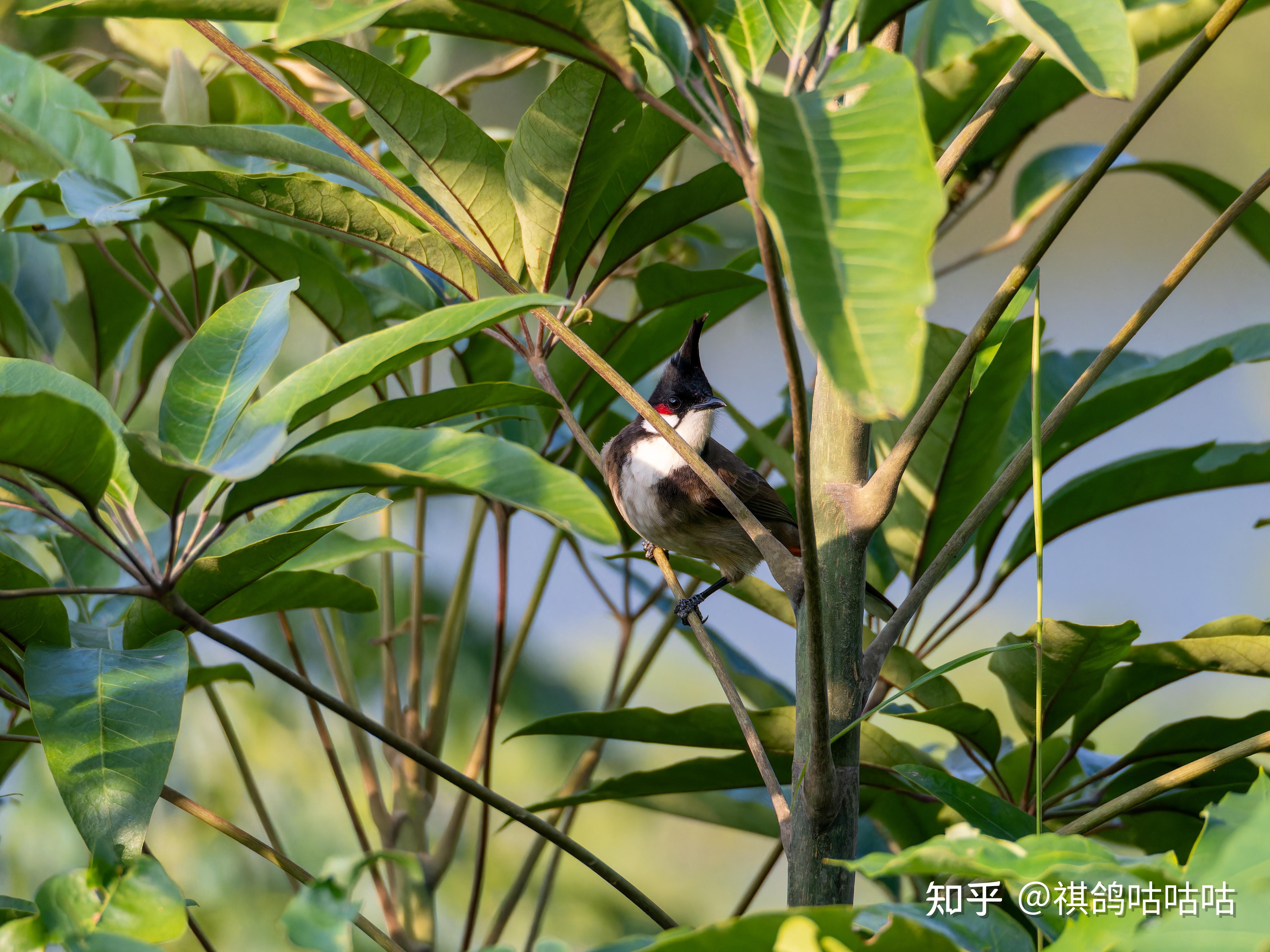 一直用m43的你，换了apsc或全画幅后，是什么感受？ - 知乎