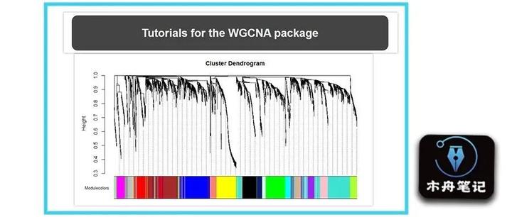 WGCNA 简明指南|1. 基因共表达网络构建及模块识别 - 知乎