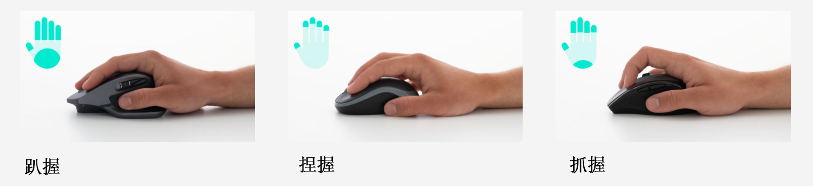 如何根据手型及握姿选择合适的鼠标 知乎