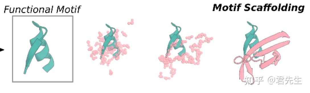 万字长文详细讲解蛋白质设计统一框架RFdiffusion - 知乎