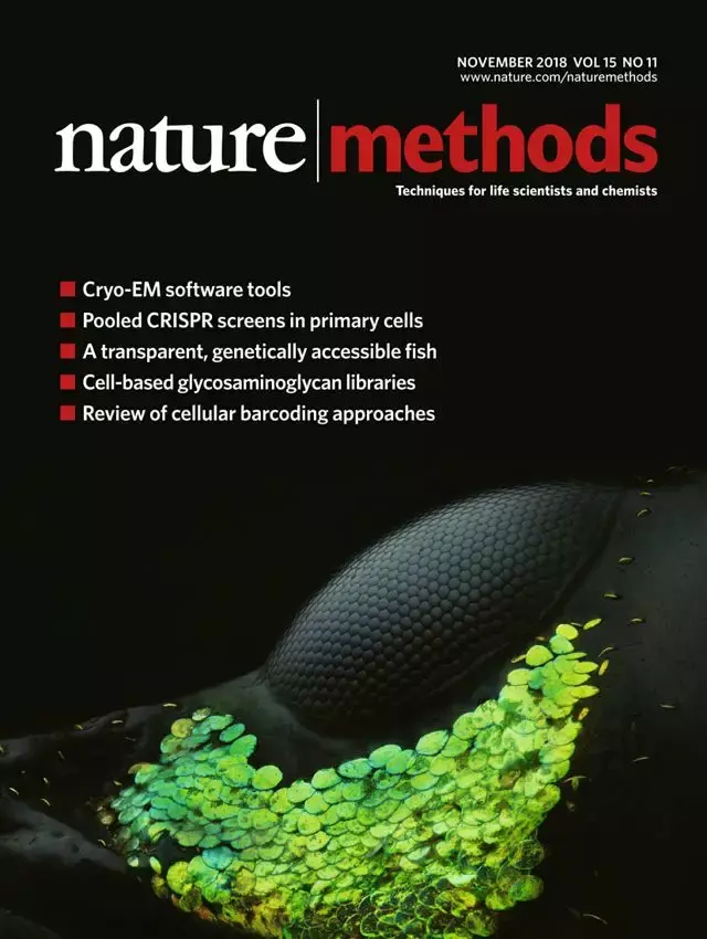 45张11月Nature子刊封面美出新高度，哪张最打动你？ - 知乎