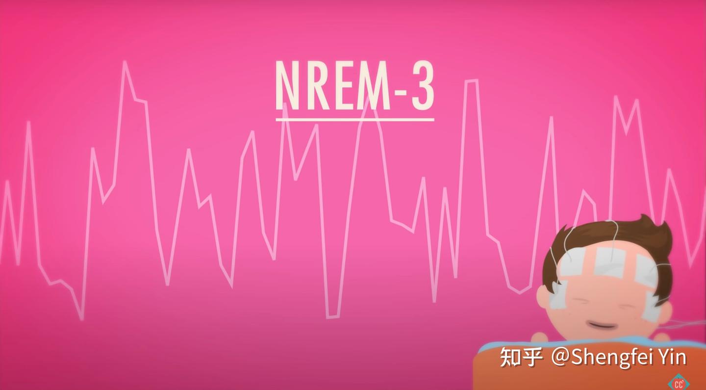 Sleep & Dreams - Crash Course Psychology #9 - 知乎