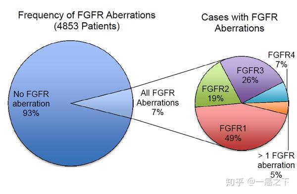 FGFR系列（一）|FGFR在泛癌种中的突变景观图谱 - 知乎