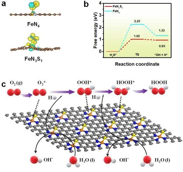 Angew. Chem. Int. Ed.：FeSA-NS/C电合成医用H2O2消毒剂 - 知乎