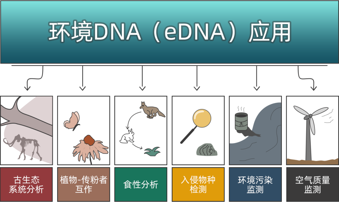 国之重器聚焦组学新热点， eDNA领航生态新科研 - 知乎