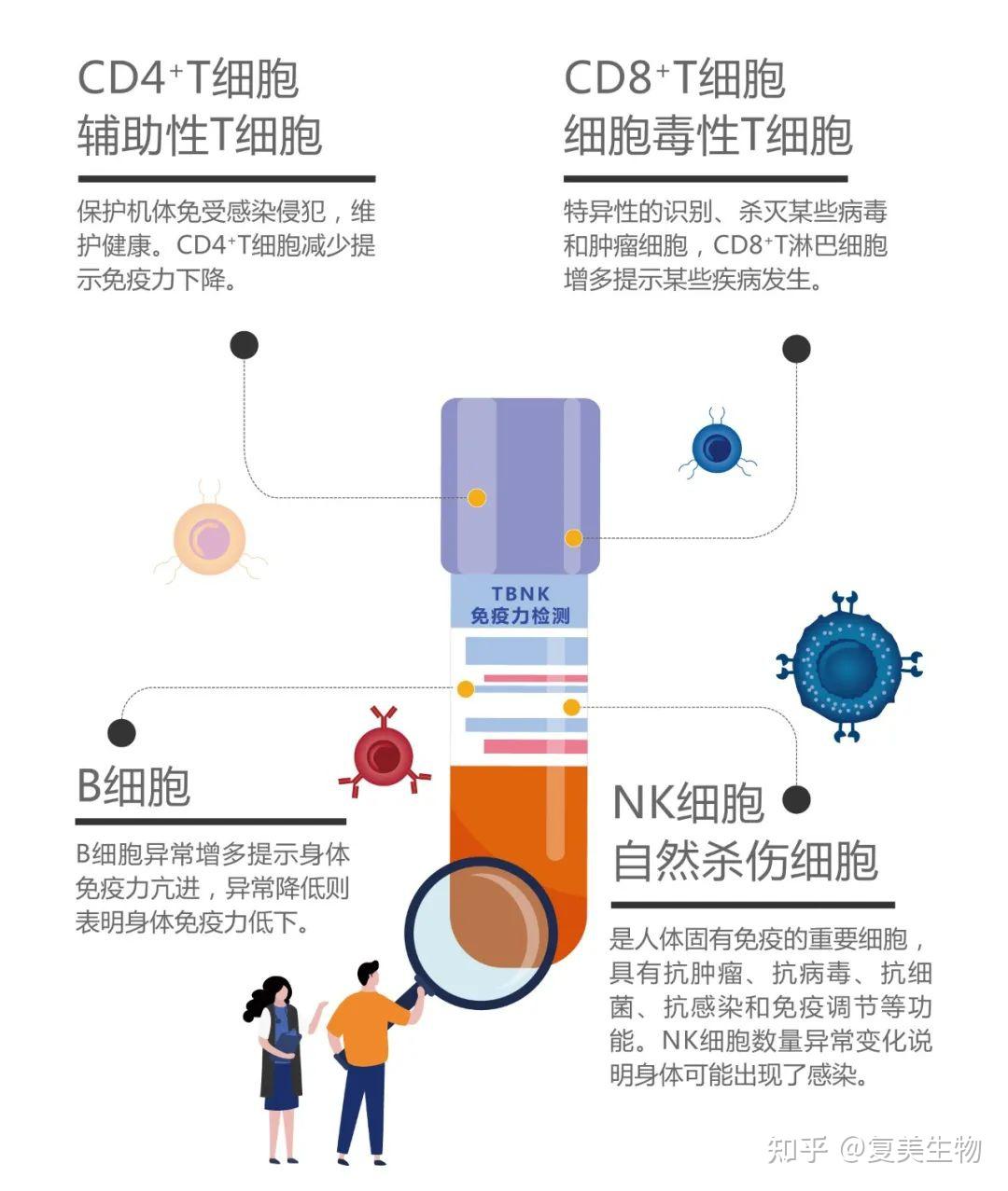 免疫力是我们的第一生产力“TBNK免疫力”量化评估检测，精准呈现。 - 知乎