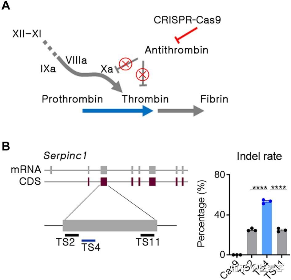 LNP递送CRISPR-mRNA在体基因编辑的最新应用盘点 - 知乎