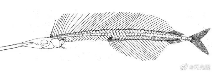 蒙特波卡：始新世的海洋之窗（1）（作者：达达） - 知乎