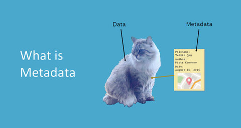 什么是metaData? - 知乎