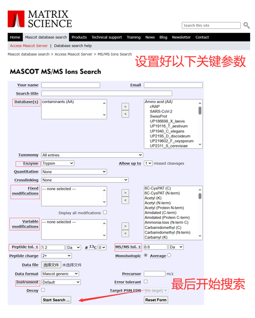 Mascot 官网免费试用步骤 - 知乎