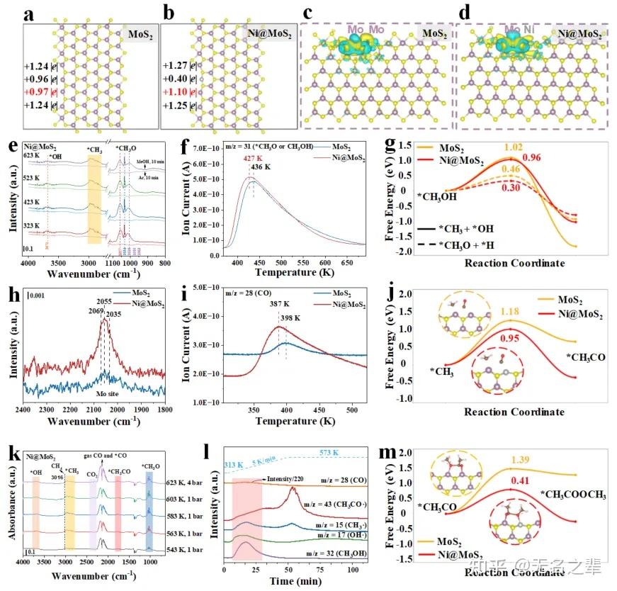 大连化物所丁云杰团队等Angew：Mo-Ni双位点催化醇类无卤素多相羰基化 - 知乎