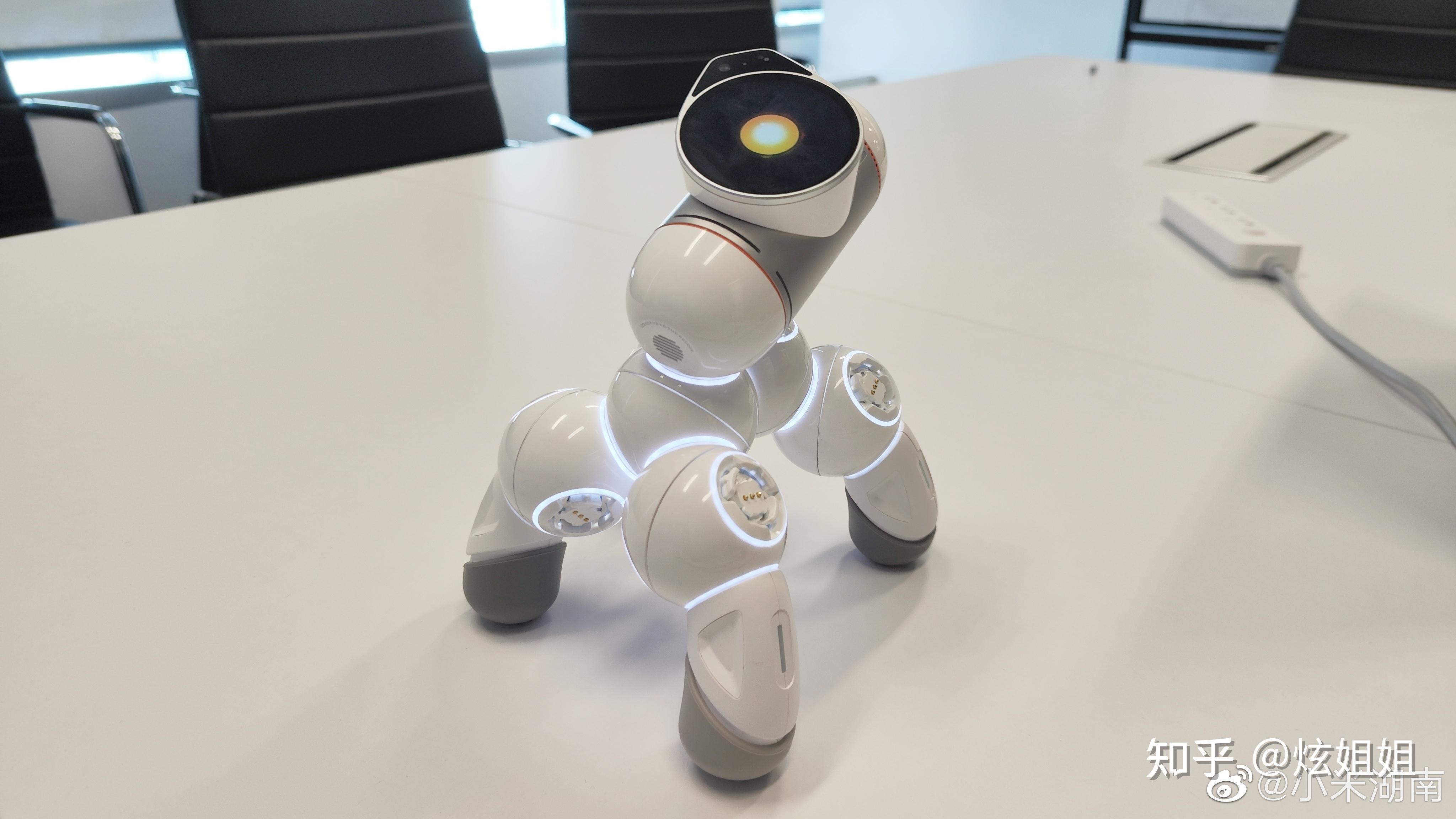 认识 Loona：宠物、玩具、陪伴机器人，aibo 都不如她好玩！ - 知乎