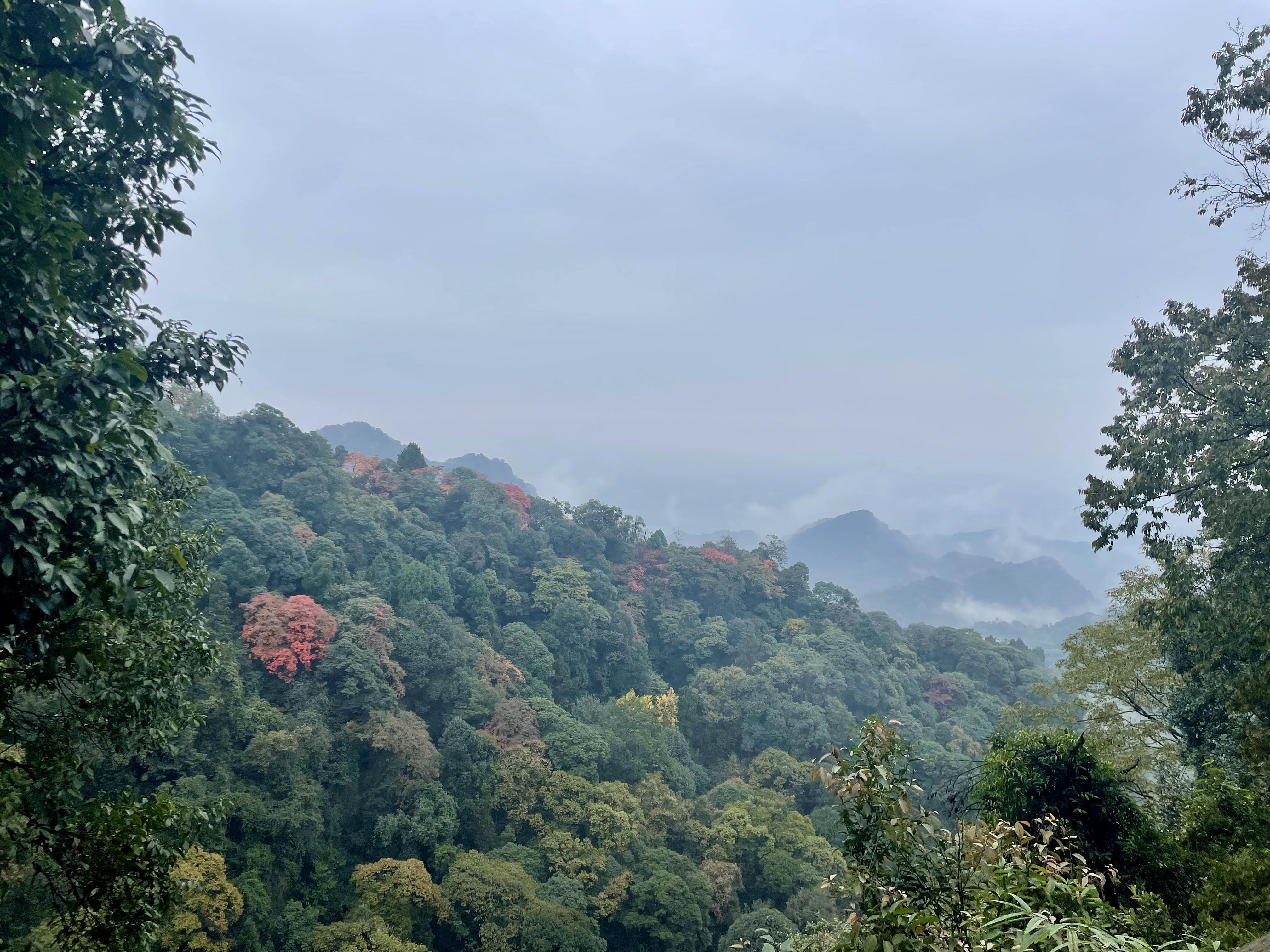 MBTI cp 系列：理性组（INTP-INTJ）——“就这般望着你” - 知乎