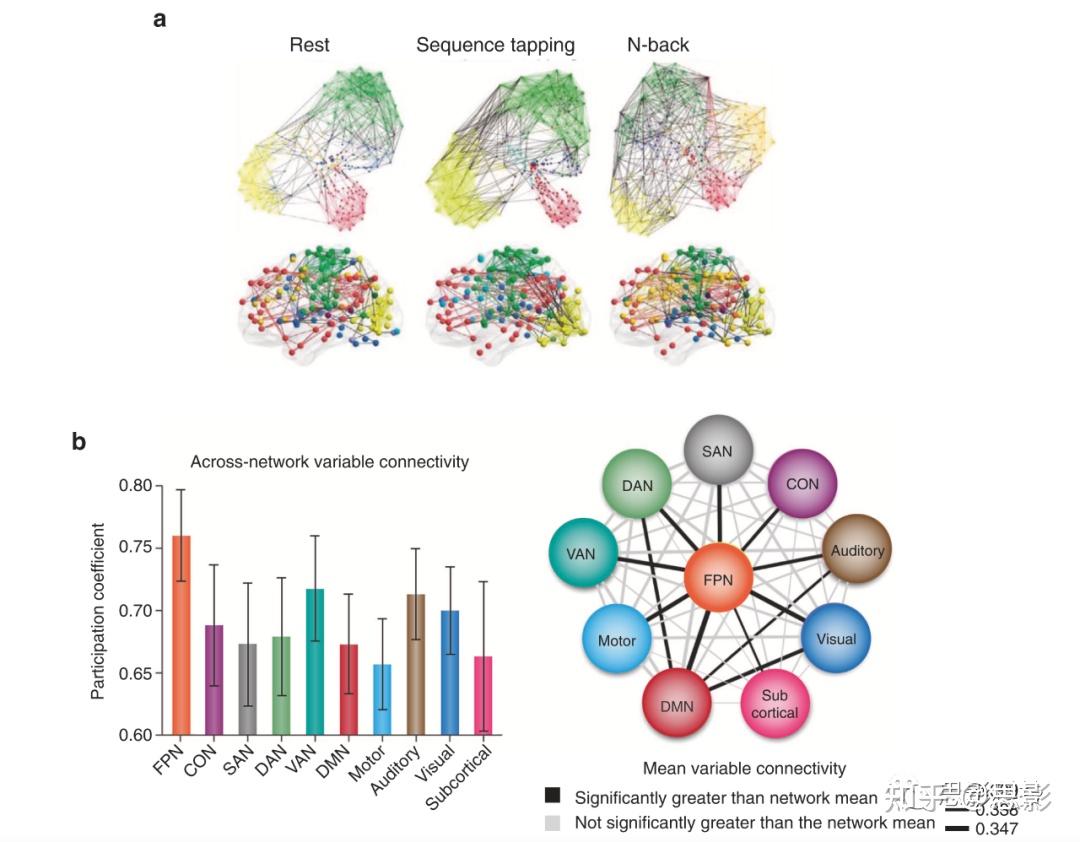 PFC网络在认知控制和执行功能中的作用 - 知乎