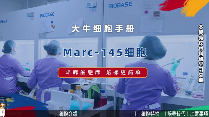 Marc-145细胞培养，非洲绿猴胚胎肾细胞培养攻略 - 丰晖生物 - 知乎