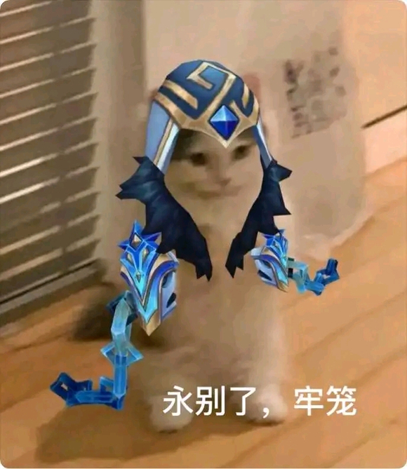 LOL英雄联盟猫猫表情包（第七期） - 知乎
