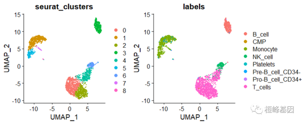 SCS【6】单细胞转录组之细胞类型自动注释 (SingleR) - 知乎