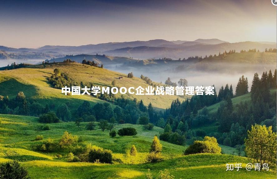 中国大学MOOC企业战略管理答案 - 知乎