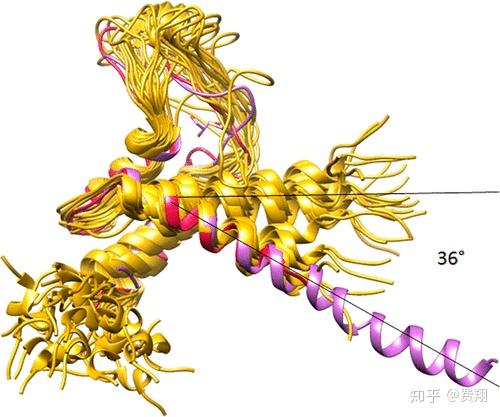 【JMC】TEAD靶点综述 - 知乎