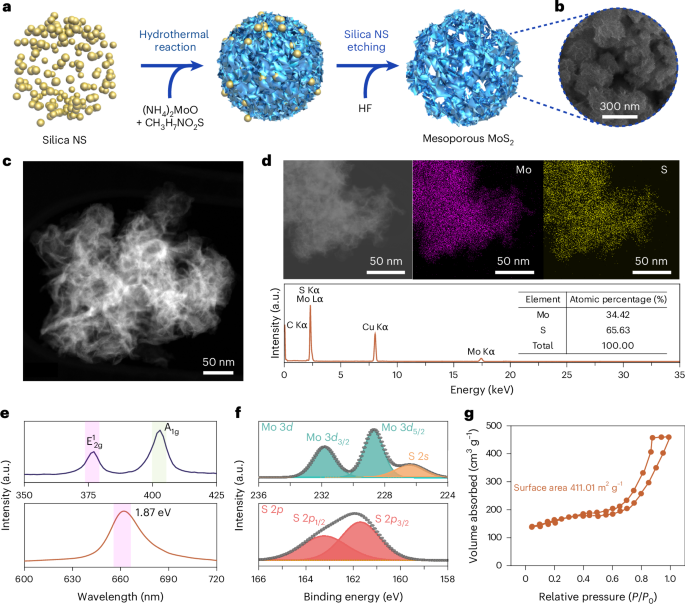 MoS2，最新Nature Nanotechnology！ - 知乎