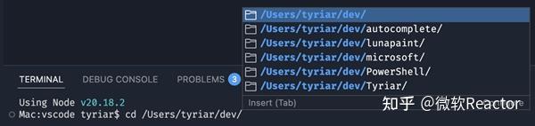 技术速递｜Visual Studio Code 2025年2月更新（v1.98） - 知乎
