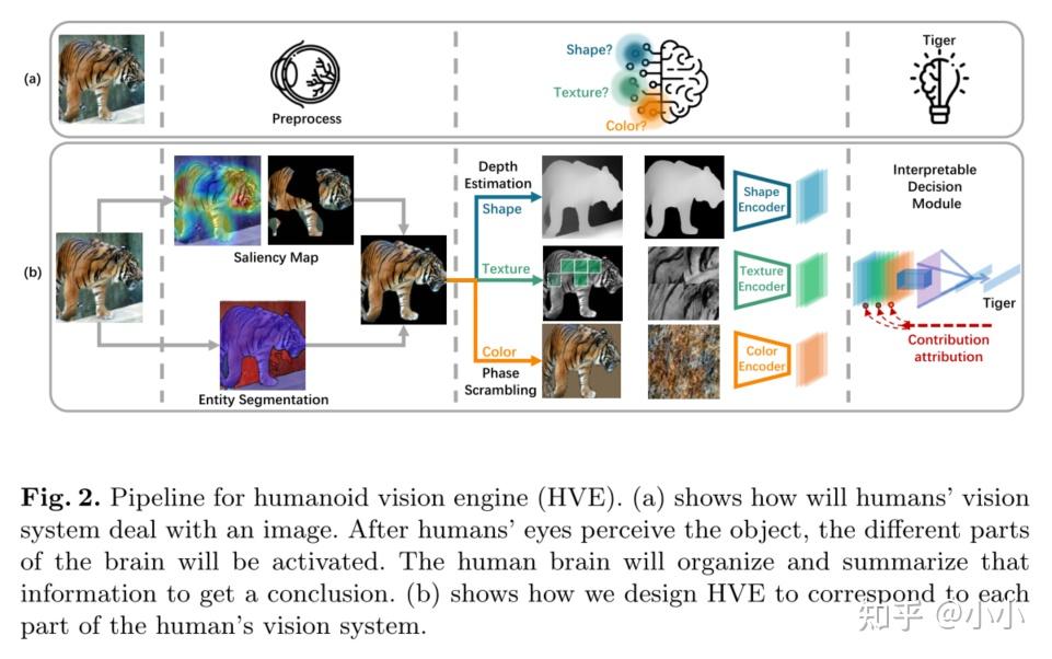 阅读（二）Contributions of Shape, Texture and Color - 知乎