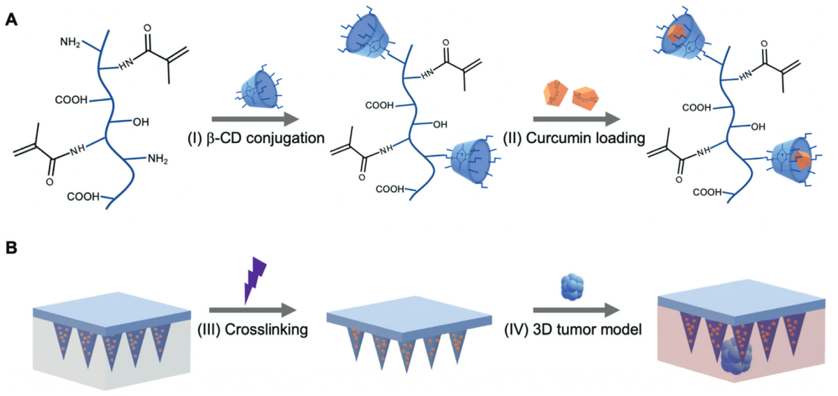 AHM：GelMA的综合运用——微针贴片+肿瘤模型 - 知乎