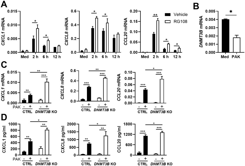 支气管上皮细胞BEAS-2B与CRISPR/Cas9基因编辑的美妙联动！ - 知乎