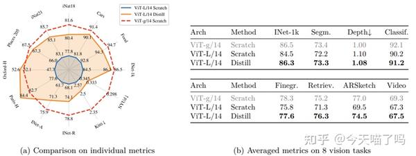 视觉基础模型：DINOv2 after SAM - 知乎