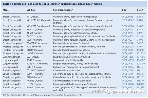 《Nature Protocols》：细胞系来源的皮下肿瘤模型在临床前癌症研究中的应用 - 知乎