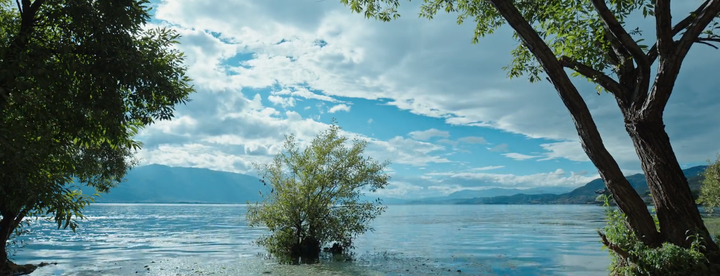 研报笔记-20230206（IMF上调全球经济增长预期） - 知乎