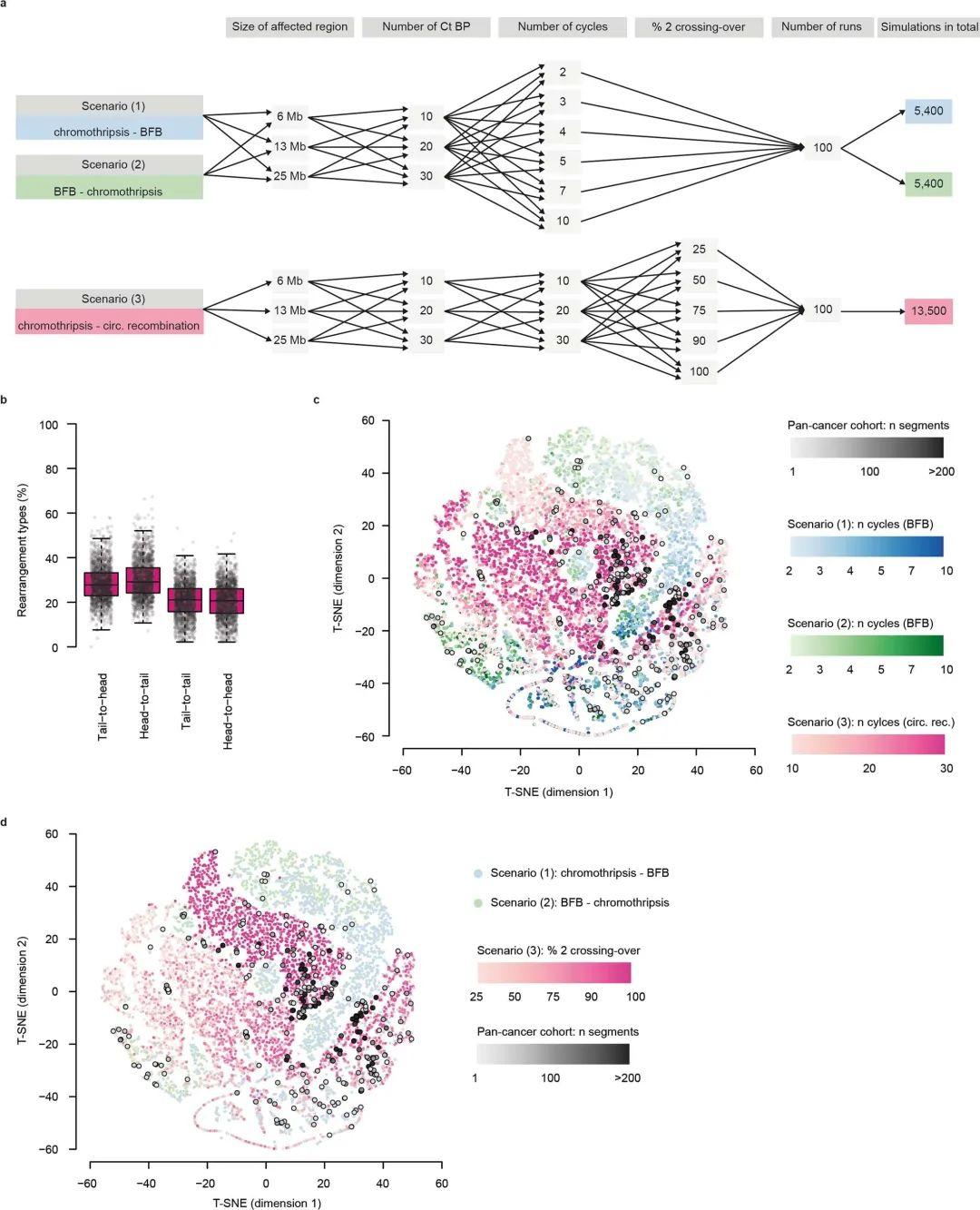 Nature Genetics：染色体碎裂与循环重组驱动人类癌症中的癌基因扩增 - 知乎