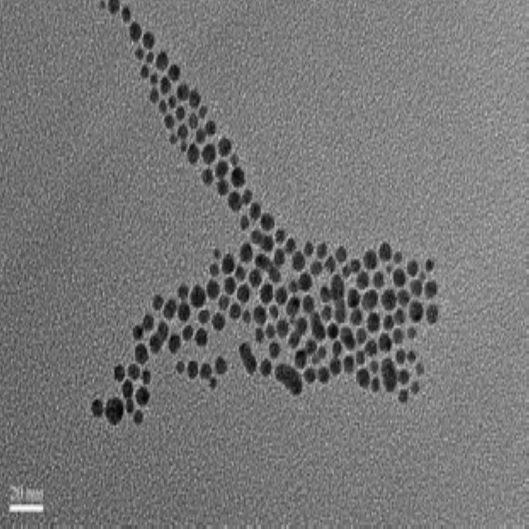 Low-temperature Sintered Nano silver pastes for die attach - 知乎