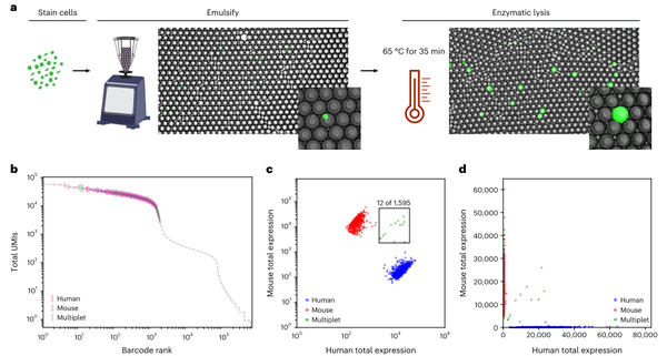 不基于微流控的单细胞测序技术 - 知乎
